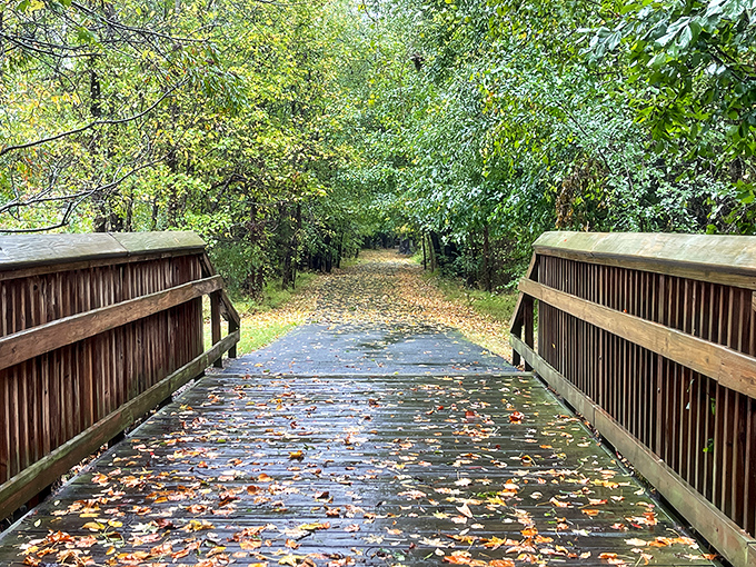 This wooden bridge at Morrisville Community Park isn't just crossing a stream – it's crossing into a moment of pure Vermont tranquility.