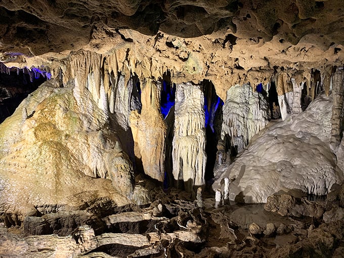 Nature's own sculpture gallery glows with otherworldly beauty inside Florida Caverns State Park, where limestone formations tell stories thousands of years in the making.
