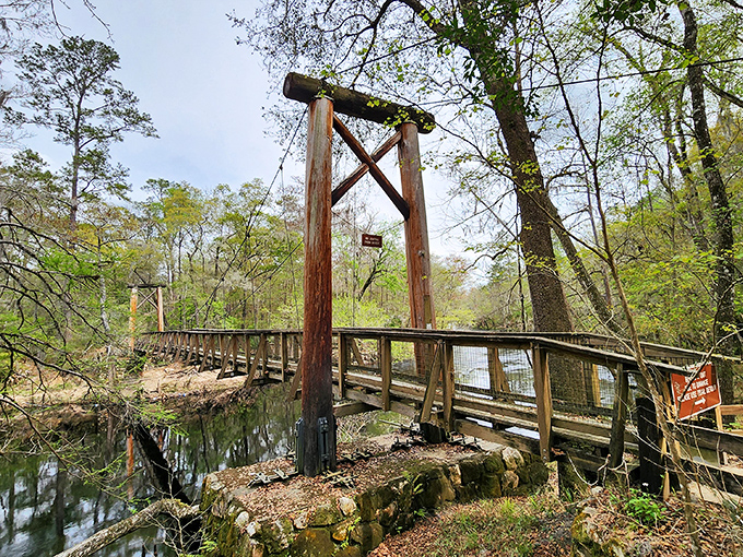 O'Leno State Park's historic suspension bridge spans the mysterious Santa Fe River just before it disappears underground, creating a perfect frame for nature's magic trick.