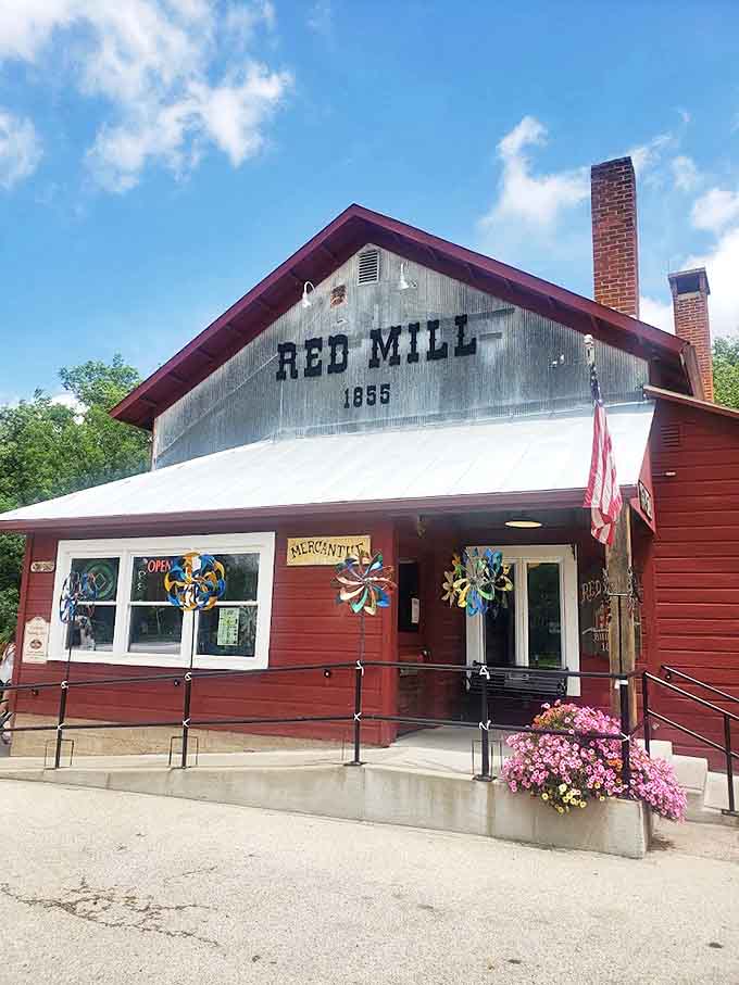 The iconic Red Mill welcomes visitors with its cheerful crimson facade, colorful pinwheels spinning in the breeze like childhood memories come to life.