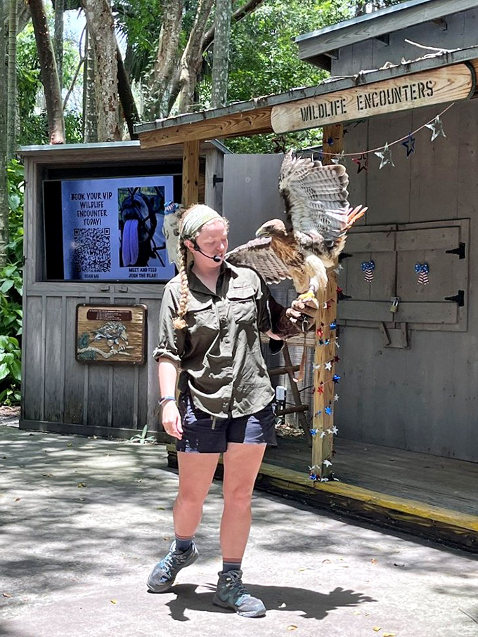 Wildlife encounters bring you face-to-wing with magnificent birds of prey. This raptor seems to be asking, "Who's the real attraction here, buddy?"
