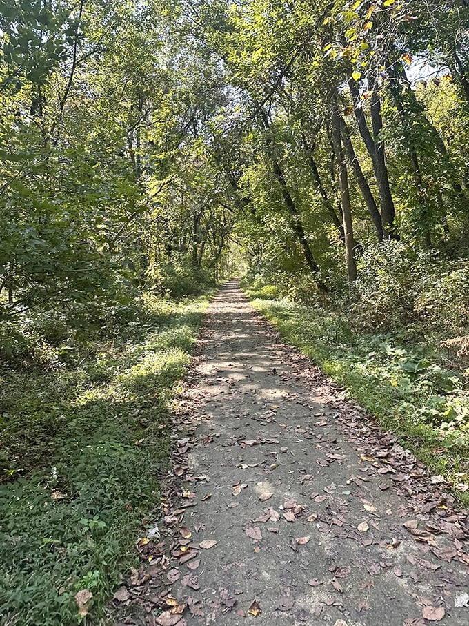 Dappled sunlight plays across the trail between tunnels &ndash; nature's own stained glass window effect guiding your journey.