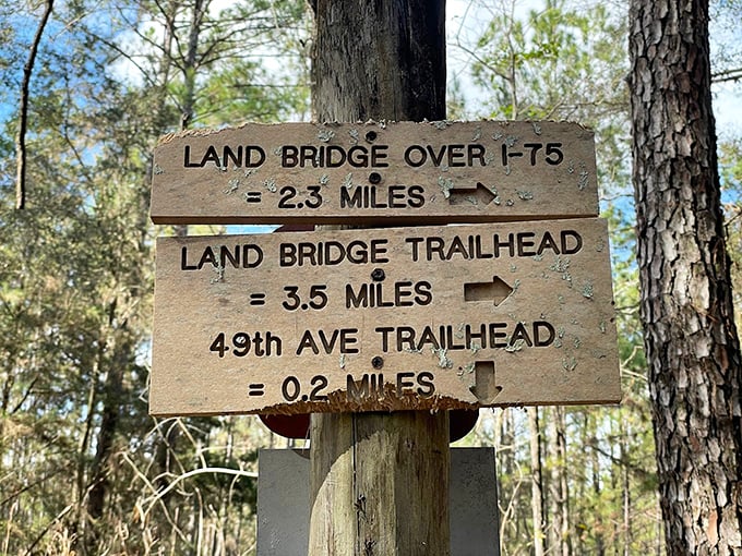 Trail markers that tell tales: These wooden signposts aren't just directions&mdash;they're invitations to discover what lies around each bend.