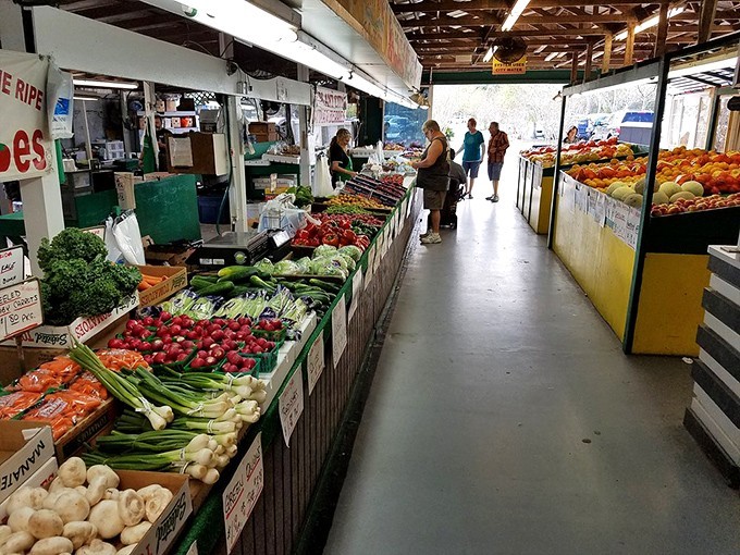 Nature's candy store! Fresh produce bursting with color and flavor lines this farmer's stall, where tomatoes actually smell like tomatoes.