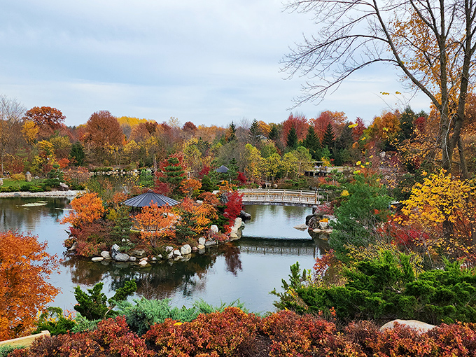 Autumn transforms the Japanese Garden into a painter's palette of reds and golds, reflecting in still waters that seem to capture time itself.