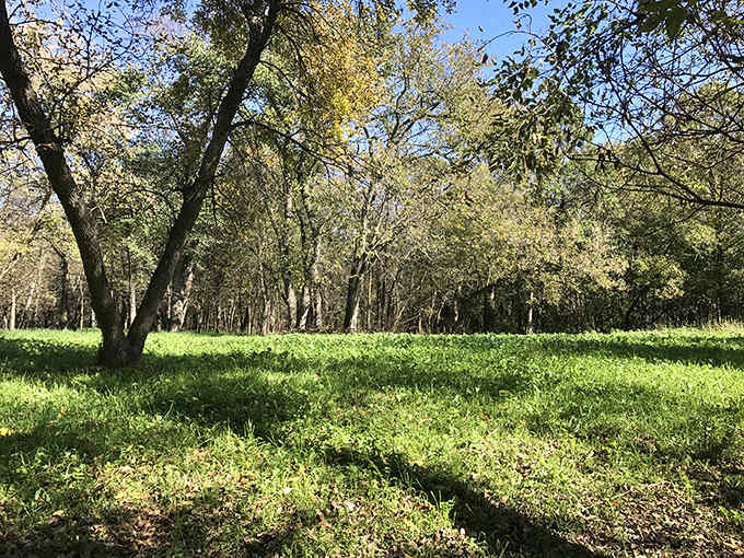 Lac qui Parle County Park offers tranquil natural beauty with meadows and trees providing the perfect backdrop for outdoor adventures just minutes from downtown.