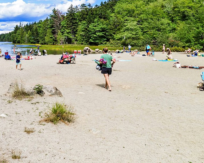 Summer bliss at Echo Lake Beach, where families create memories against a backdrop of pristine waters and pine-covered hills.