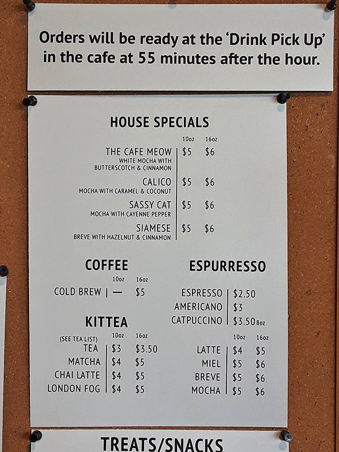 The menu board reveals cat-themed specialty drinks like "The Cafe Meow" and "Sassy Cat" &ndash; proving puns and caffeine make a purr-fect pair.