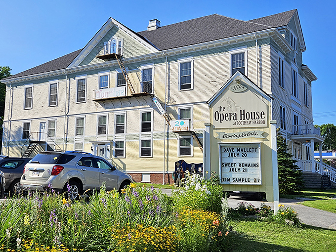 The Opera House stands as Boothbay's cultural crown jewel, where world-class performances meet small-town charm in perfect harmony.