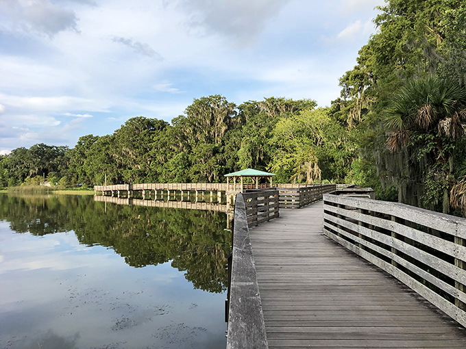 Palm Island Park's wooden boardwalk offers nature's version of meditation &ndash; complete with turtles, birds, and the occasional alligator keeping a respectful distance.