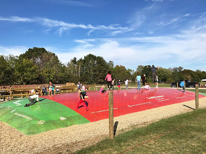 This massive jumping pillow turns children into human popcorn kernels, bouncing with the kind of endless energy that makes parents simultaneously exhausted and envious.