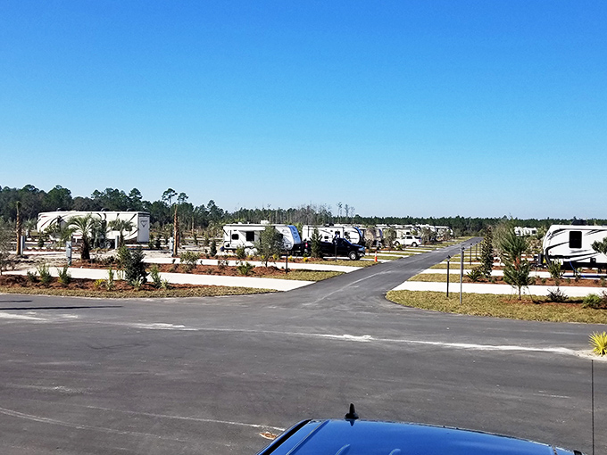 RV paradise under Florida skies – spacious sites with full hookups offer a home away from home for road warriors.