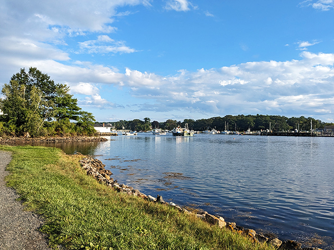 The York River stretches before you like a blue highway, dotted with boats and framed by Maine's signature greenery.