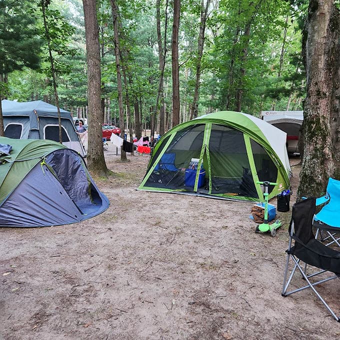 Camping here means waking up to forest views and the smell of pine, which beats your usual alarm clock by about a million percent.