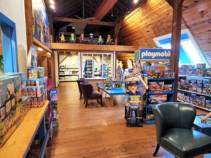 Toy Store Aisle: Wooden wonderland meets modern play in aisles that feel like they were designed by elves with PhDs in childhood joy.