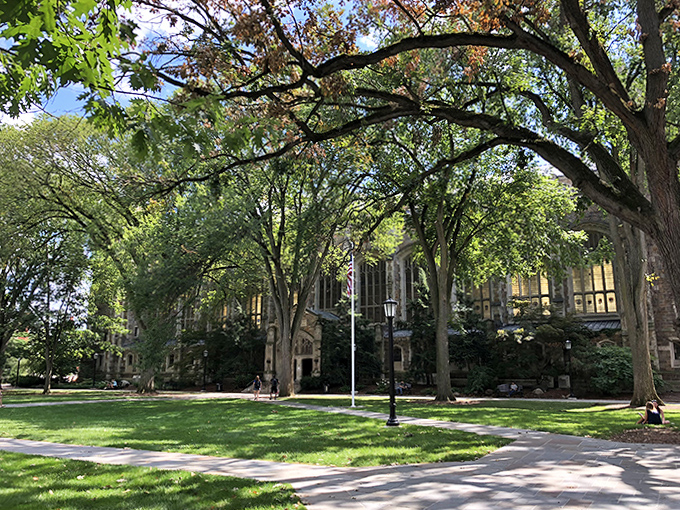 Where future attorneys debate constitutional law under ancient elms, looking suspiciously like they're plotting to overthrow the Ministry of Magic.