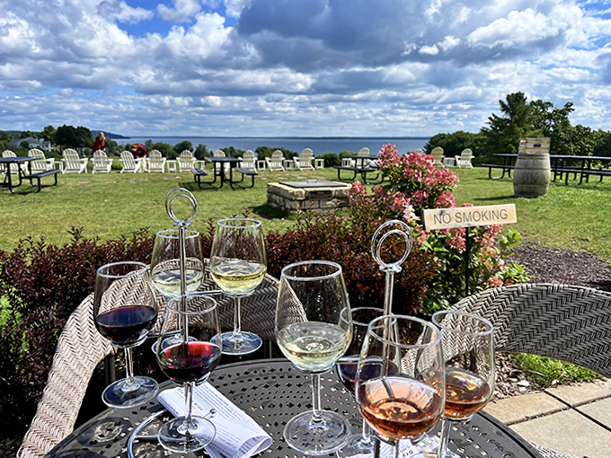 Sipping exceptional wines while overlooking Grand Traverse Bay creates a sensory experience that rivals famous wine regions, proving Michigan can deliver world-class vineyard views.