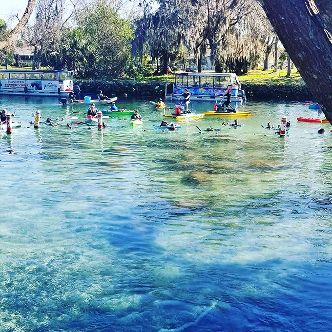 Water so clear you'll wonder if someone forgot to add the blue. Mother Nature's finest swimming pool!