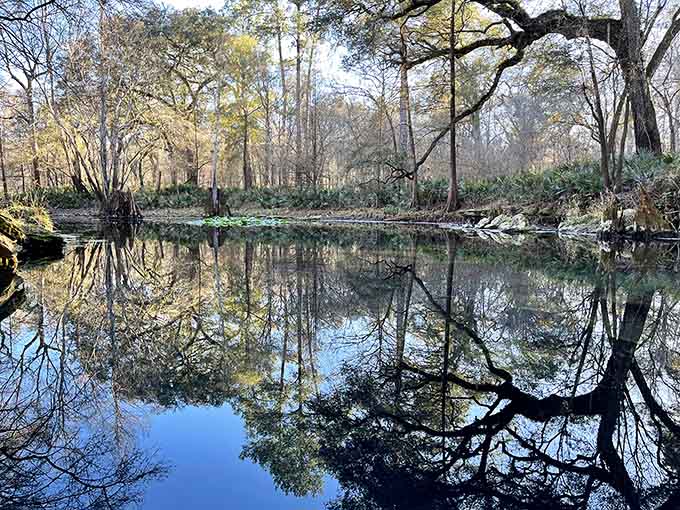 Perfect reflections on still water create a mirror image of the surrounding forest, doubling the beauty and offering photographers a dream canvas.
