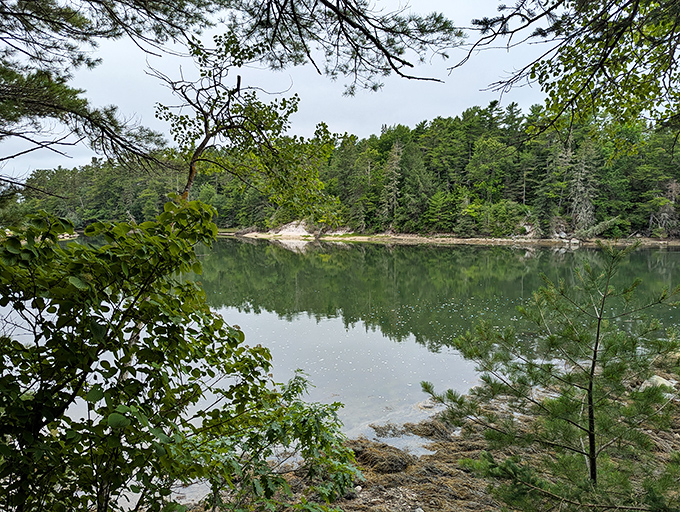 Tranquil waters mirror the surrounding pines, creating nature's perfect symmetry. This is Maine's version of meditation.