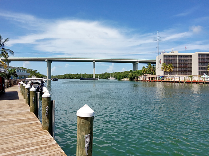 The channel beneath Islamorada's bridge creates a perfect gateway between worlds &ndash; the deep Atlantic on one side, the shallow Gulf on the other.