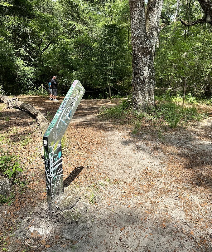 The journey begins: Weathered trail markers guide adventurous souls through Withlacoochee State Forest's pine-scented pathways.