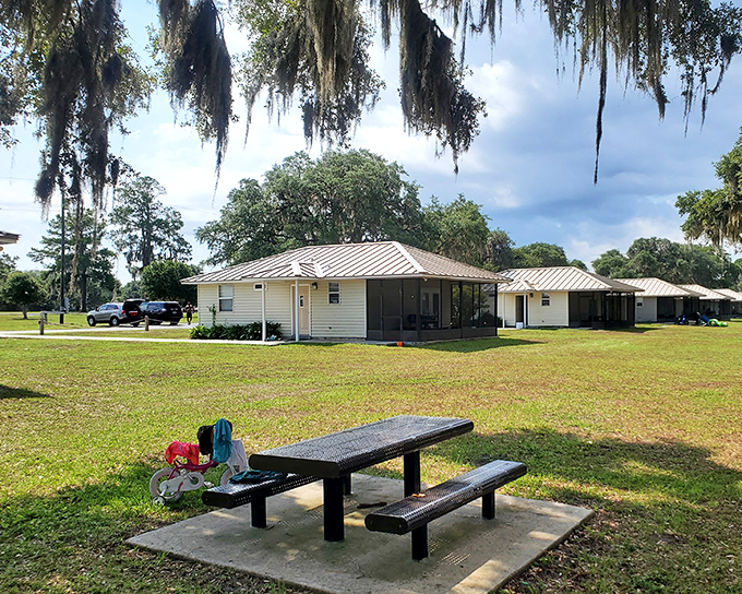 Charming lakeside cottages nestle among Spanish moss-draped trees, promising simple pleasures and screen-door summers.