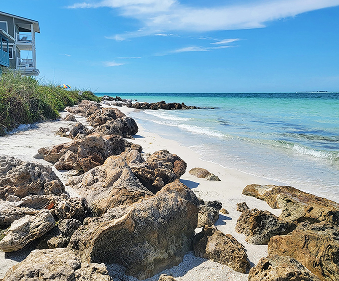 Nature's artwork in stone and surf &ndash; the rocky shores create perfect perches for pelicans and daydreamers alike.