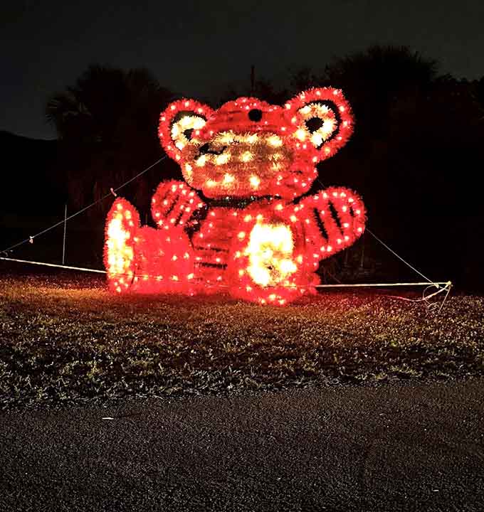 This teddy bear radiates more cheerfulness than a room full of puppies, proving that sometimes the simplest displays create the biggest smiles.