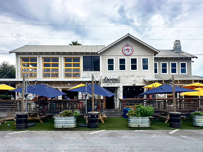 Chiringo: Coastal Spanish cuisine meets Gulf of Mexico views in this airy, modern eatery where seafood paella steals the show.