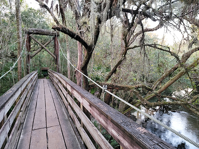 Hillsborough River State Park's rustic bridge stands on massive wooden pillars, offering hikers a front-row seat to Florida's rare rapids bubbling beneath.