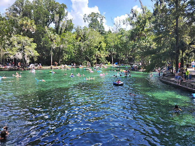 Crystal clear waters at Wekiva Springs invite swimmers to take a refreshing plunge. Nature's perfect swimming pool maintains a constant 72-degree temperature year-round.