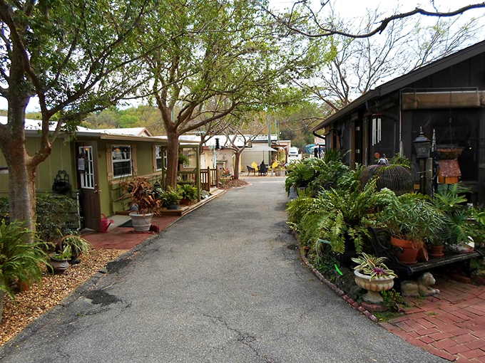 Renninger's Flea and Farmer's Market's market pathways wind between charming vendor buildings, where plants and garden decorations create a homey, welcoming atmosphere.