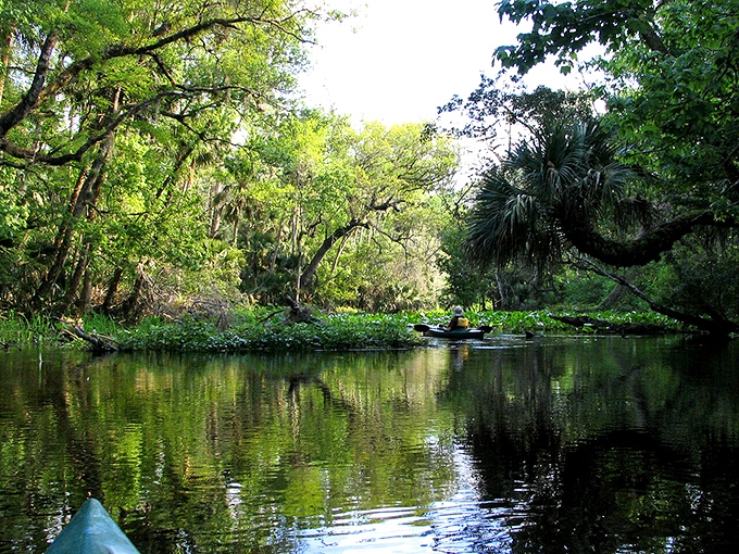 Paddling the Wekiva River feels like gliding through a prehistoric landscape. Overhanging trees create natural tunnels for kayakers to explore.