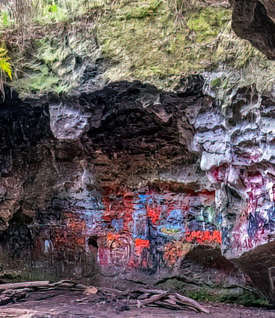 4 mile trail florida ftr