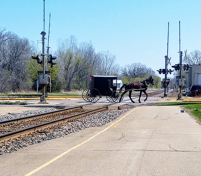 Where worlds intersect &ndash; an Amish buggy crosses the tracks, a timeless moment in Wisconsin's cultural tapestry.