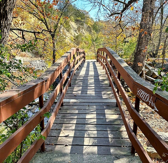 Wooden walkways guide visitors through the forest like nature's own red carpet, minus the paparazzi but with better views and fresher air.