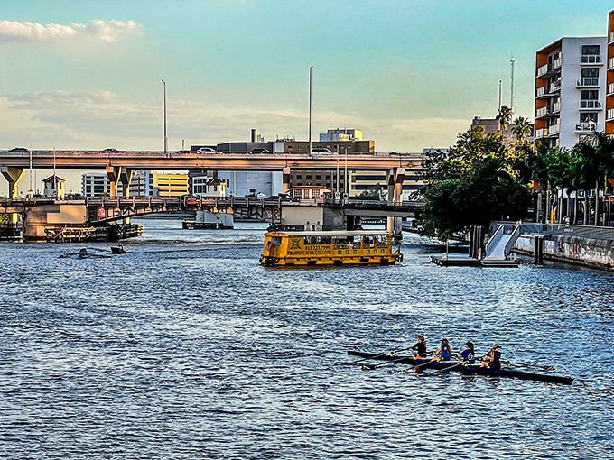 Water taxis and rowing teams share the Hillsborough River like an aquatic ballet. That yellow water taxi looks like a floating lemon drop candy!