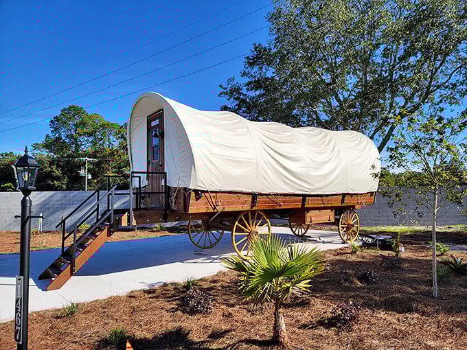 Step back in time without stepping away from comfort in these meticulously crafted covered wagons, complete with modern amenities.