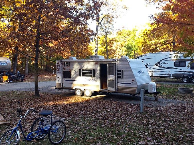 Autumn leaves create a colorful canopy above campers, where RVs nestle into wooded sites like modern-day covered wagons.