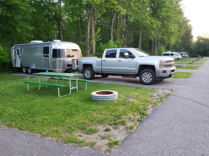 An Airstream trailer nestled in a wooded campsite near Clare offers the perfect blend of nature and comfort for overnight adventurers.
