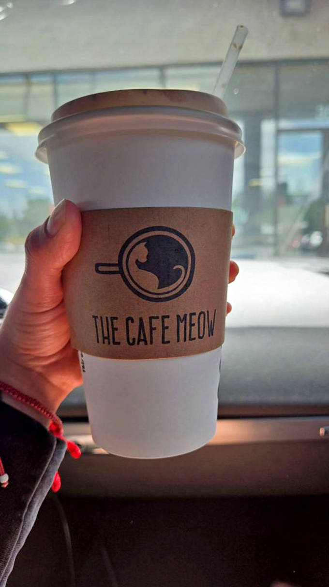 A steaming cup of coffee from The Cafe Meow &ndash; where every sip comes with the satisfaction of supporting homeless felines.