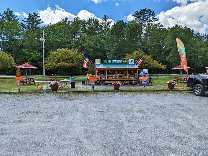 Farm-fresh goodness without the "artisanal" markup. This produce stand is what vegetables looked like before they needed a marketing team.