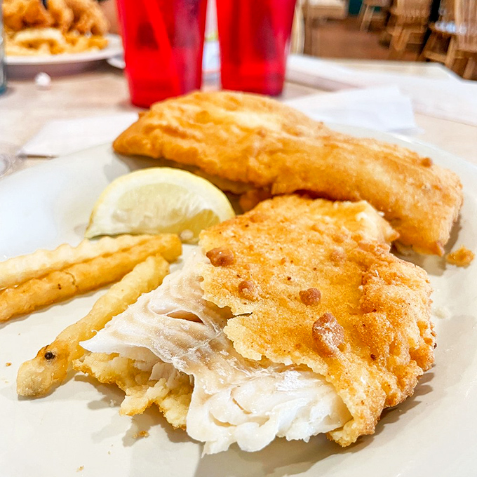 Golden-battered haddock that flakes at the touch of a fork &ndash; Maine's seafood tradition served with simple perfection.