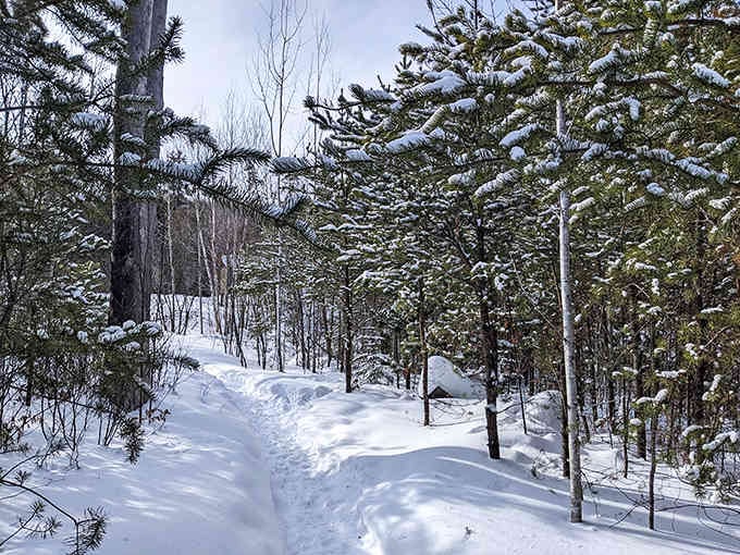 Winter transforms the trail into a snow-covered wonderland, where the monolith stands even more dramatically against the white landscape.