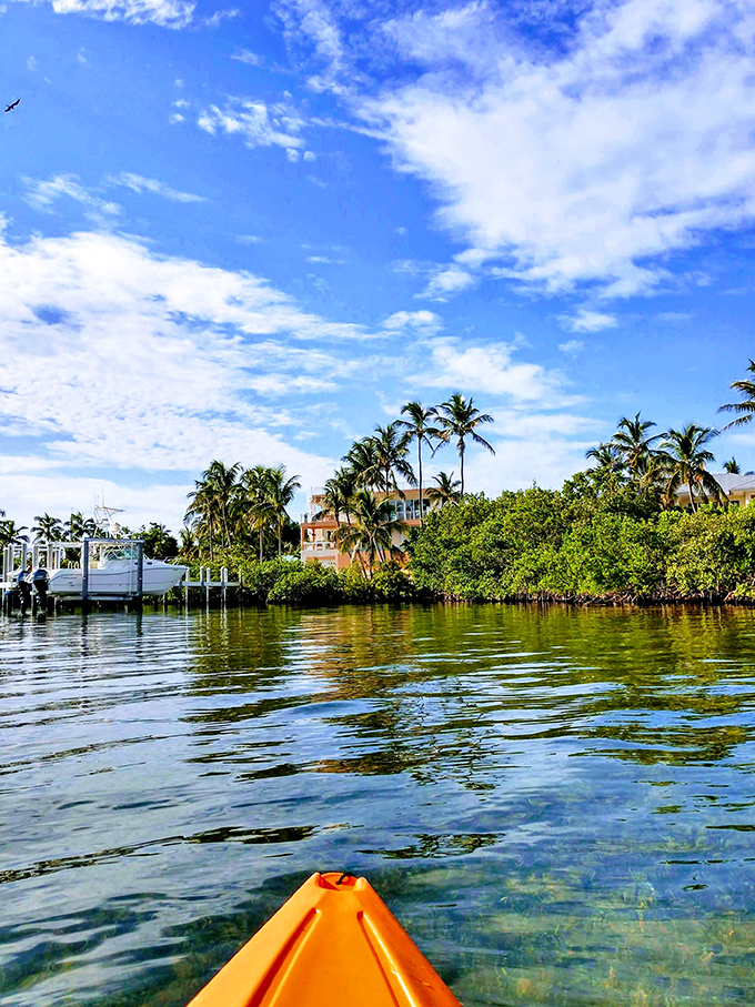 Nothing says "I've escaped reality" quite like gliding through crystal clear waters in a kayak, mangroves creating nature's perfect frame.
