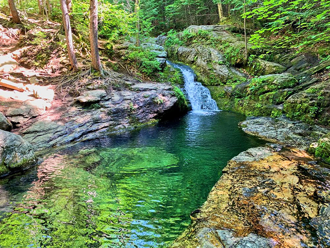 A perfect emerald pool captures the forest in its reflection, offering a refreshing reward for hikers brave enough to venture deep into Gulf Hagas.
