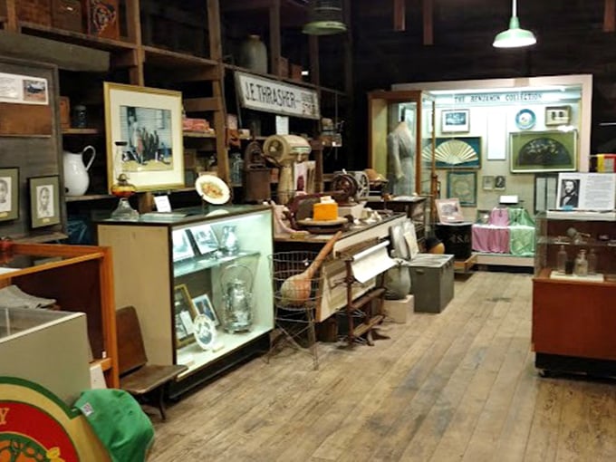 Step inside the museum and discover a treasure trove of artifacts, each carefully preserved to tell Micanopy's fascinating story.