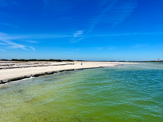 That pristine stretch of sand isn't a private resort, it's a natural sandbar where your next favorite shell is waiting to be discovered.