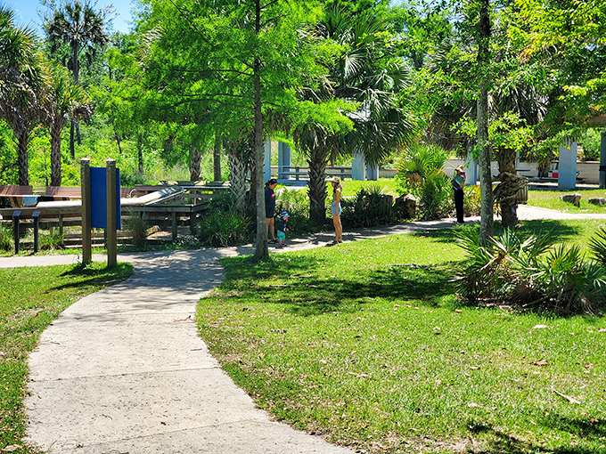 Meandering pathways guide explorers through a lush Florida landscape that feels worlds away from tourist crowds.